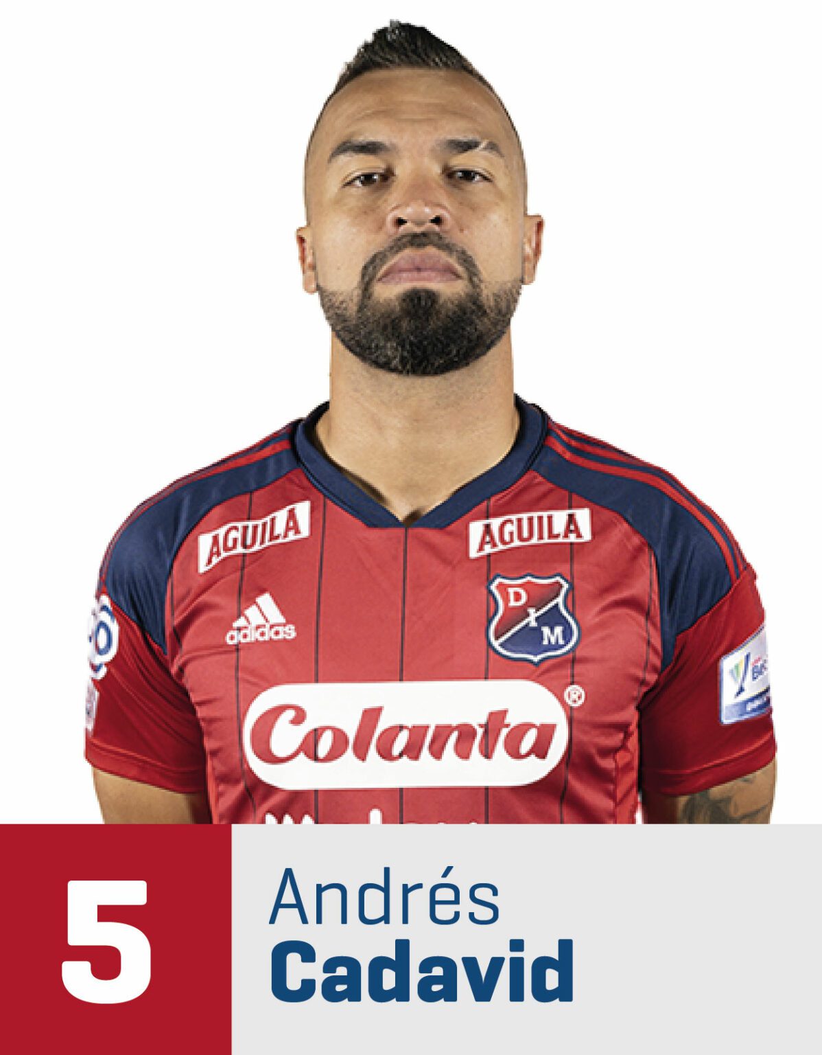 EQUIPO - DIM Oficial